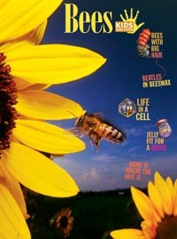 Bees - Kids Discover