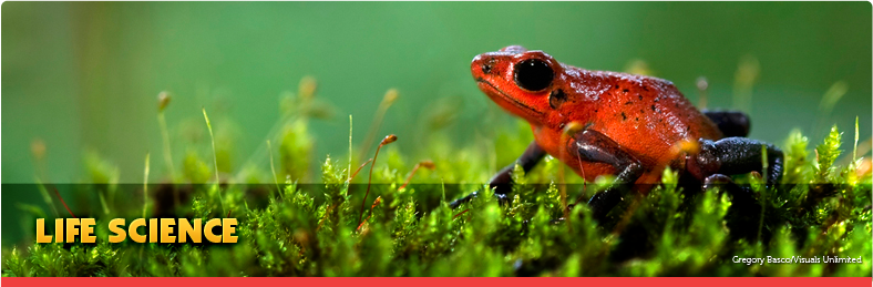 Life Science Archives - KIDS DISCOVER