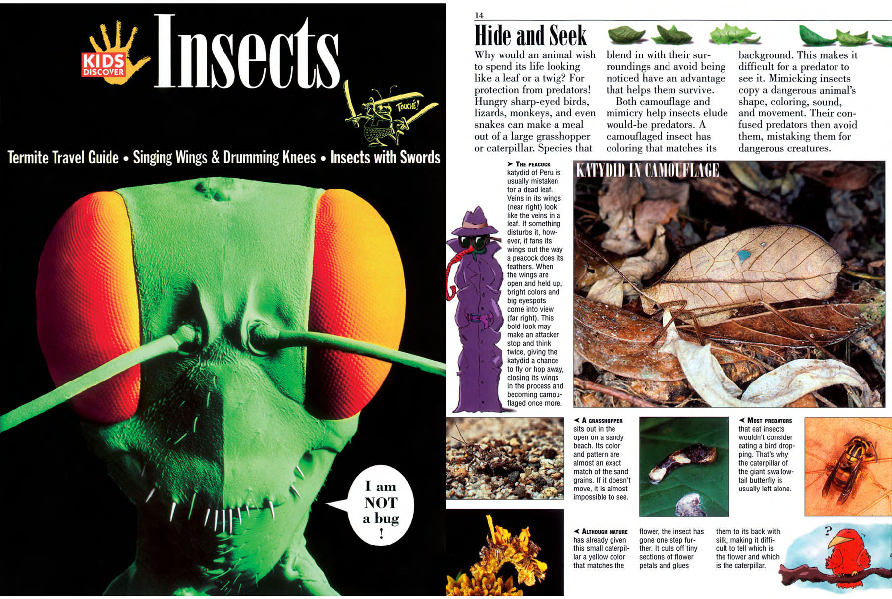 Insects 1-2 - Kids Discover