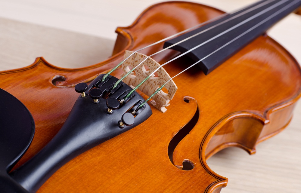 Spotlight: Trees - KIDS DISCOVER